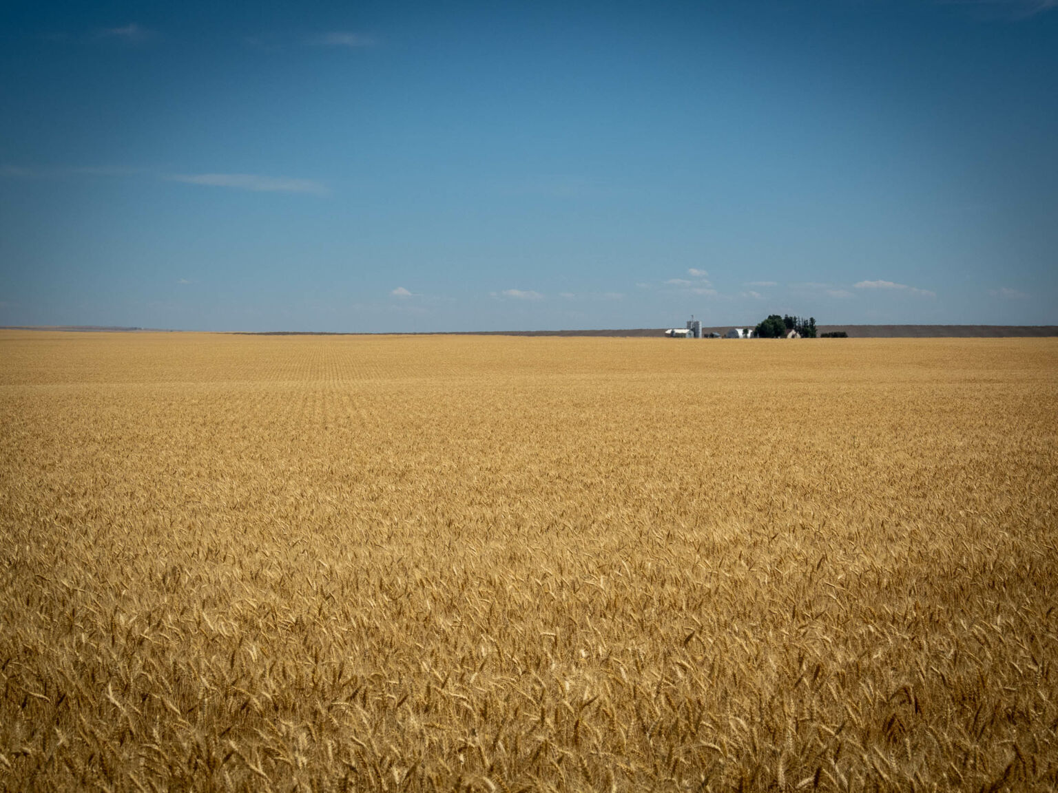 Ultimate Guide to the Tri-Cities Washington – Powell Tricities