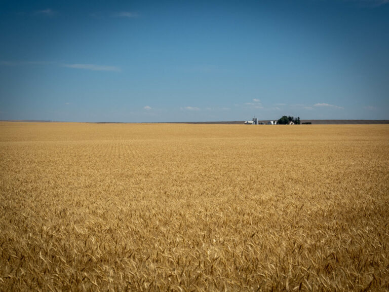 Ultimate Guide to the Tri-Cities Washington – Powell Tricities